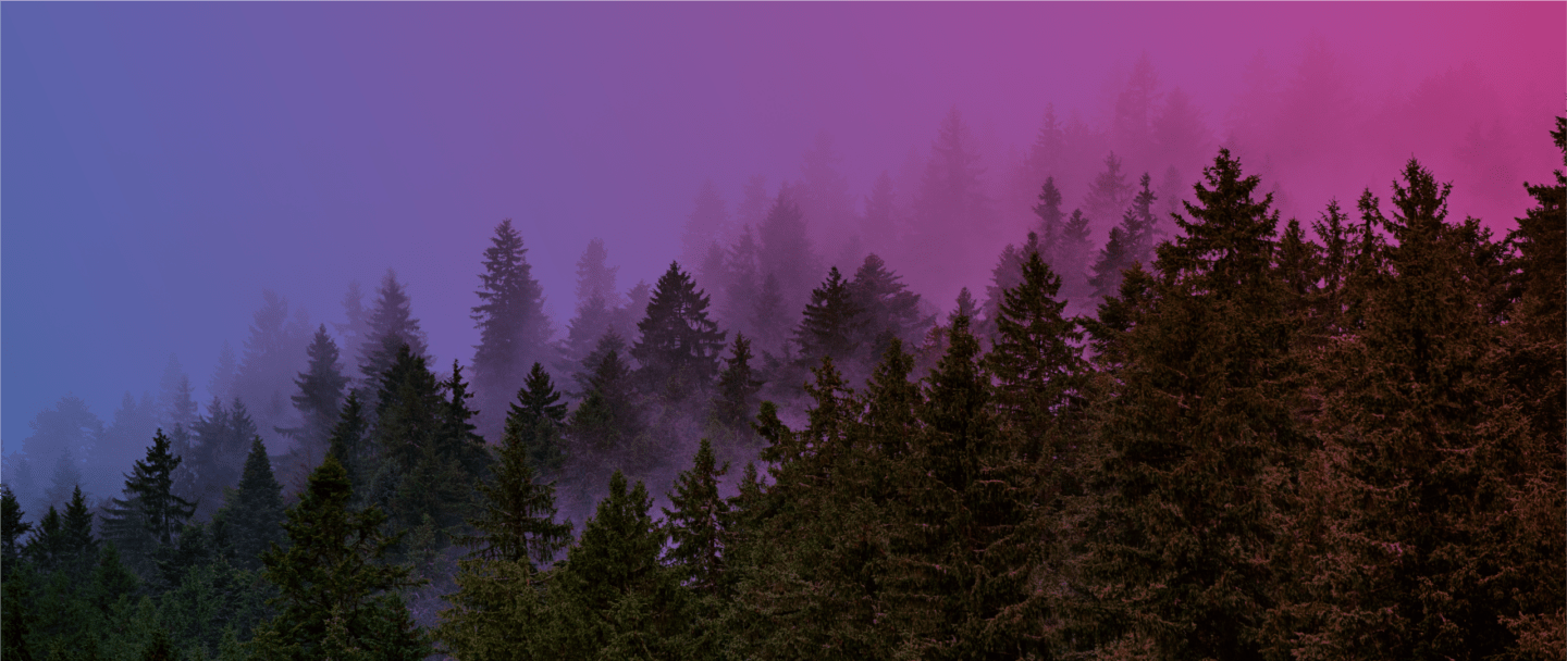 What is the (IDD) Insurance Distribution Directive?