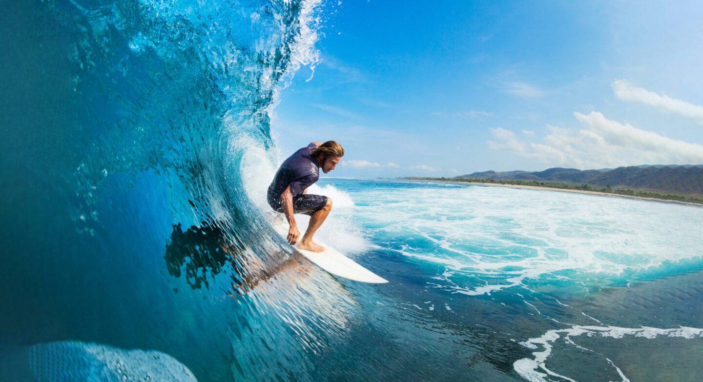 LXP vs LMS: What are the key differences? | Learning Pool